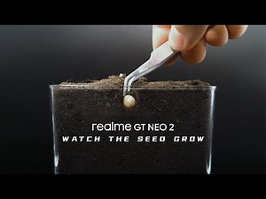 realme GT NEO 2 | Watch The Seed Grow