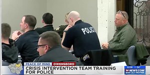 Law enforcement participate in Crisis Intervention Team training