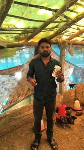 Aniket Nandeshwar on Instagram: "Kohrsolin. . . .. . . . . #poultryfarm #info #trendingreels #chicken #explore"