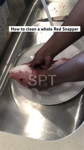 Cleaning a Red Snapper