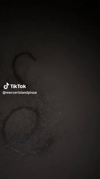 Bay Harbor Butcher: Mercer Island's Dark Legend