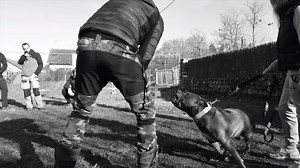 329K views · 5.5K reactions | Ce n'est pas de ma faute si j'ai plus...