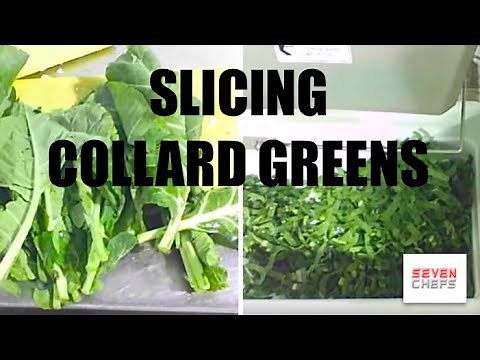 Slicing Collard Greens in a Commercial Vegetable Processing Machine