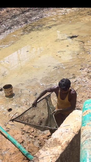 Rajesh M P | കൊമ്പന്മാരെ കൊണ്ട് പുതിയ കുളം നിറച്ചു ❤️| New monster fish pond set up and farming | #monsterfish #fish #fishfarming #malayalam | Instagram