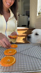 Feeling the “end of Sumo Citrus season scaries”? Not to fear! Here’s just one way you can savor the flavor all year long. These Dehydrated Sumo Citrus Slices can be used in so many ways! * As a garnish for a cocktail or mocktail * The perfect finishing touch on a dessert * Ground to make Sumo Citrus “sugar” * Dipped in chocolate and enjoyed as a healthier treat * As a decorative touch to a table setting * Steeped in hot water or added to tea * As an adorable host or hostess gift You only need on