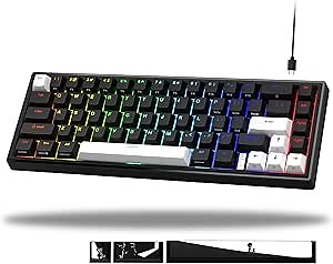 V-K66 60% Mechanical Gaming Keyboard, Gasket Mounted, Wired LED Backlit with Arrow Keys - Black and White