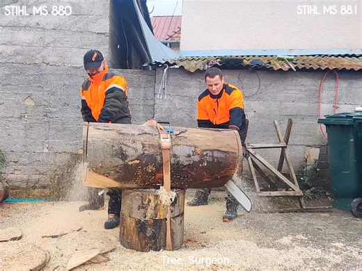Stihl MS 881 VS Stihl MS 880 | The Tree Surgeons