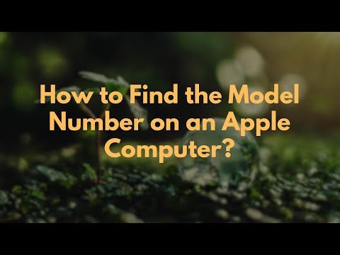 How to Find the Model Number on an Apple Computer?