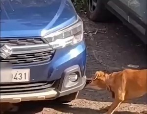 2.5K reactions · 196 shares | "Não importam os meios, o que interessa é o resultado."‍️‍️‍️ | Alexandre Massango | Facebook