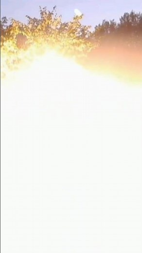 Flash Powder KNO3 + MG #fireworks #explosion #shorts