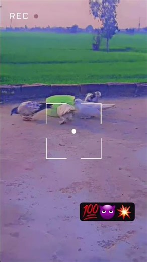 mijha pasand karna wala Kronos log h a bhai #viral shorts video # subscribe please #