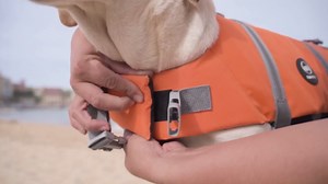 EMUST Dog Life Preserver, Dog Flotation Vest for Swimming, Beach Boating with High Buoyancy, Pet Water Vest for Small/Medium/Large Dogs, M, NewOrange