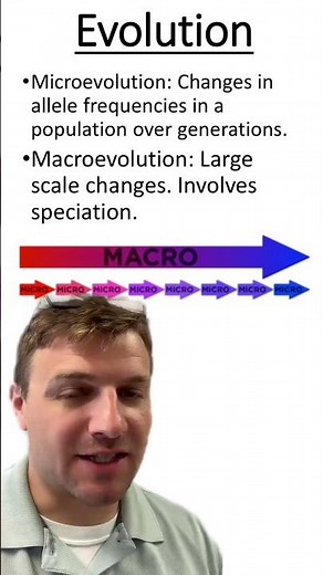 Micro vs Macro Evolution