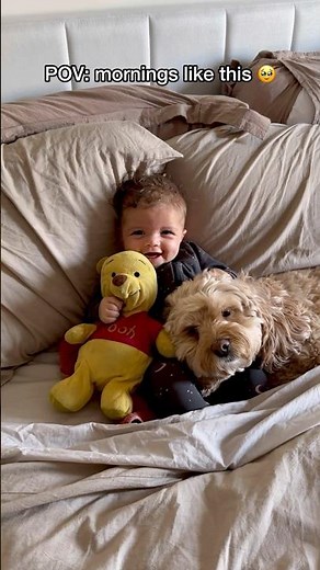 Mini Cockapoo Has The Most Adorable Bond With Her Sister 🥺