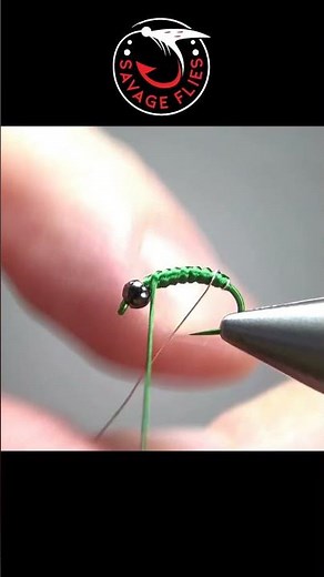 The EASY Thread Caddis Larva