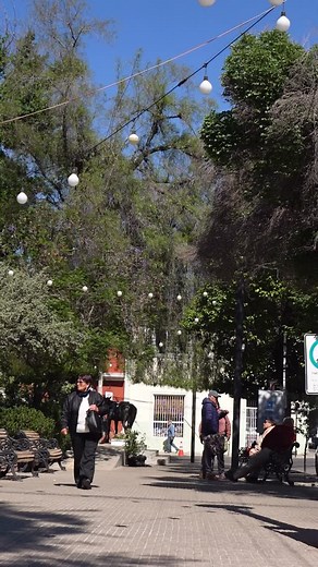 En el corazón de Putaendo, la historia no se exhibe: respira. Bajo la sombra del centenario pimiento, descansa este macho metálico, forjado por manos locales y memoria ancestral. No es sólo una escultura: es el recuerdo vivo de quienes cruzaron la cordillera, de quienes cargaron libertad, sueños y esperanza. El arriero no aparece en los libros con grandes nombres, pero ha tejido el valle con sus pasos. Su andar marcó los caminos, las quebradas, las aguas y la vida comunitaria. Aquí seguimos. Ent