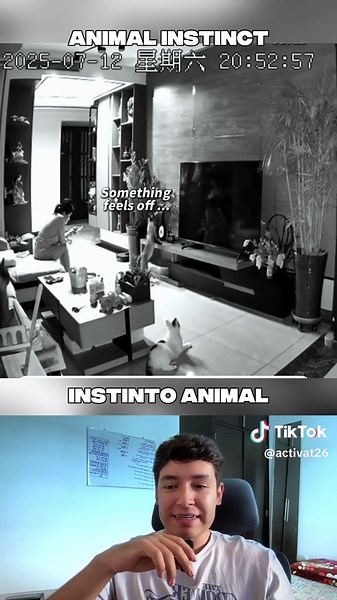 Actívat on TikTok