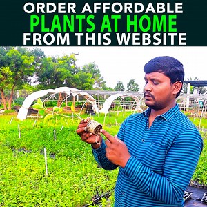 2.1M views · 99K reactions | Plants play an important role in our daily lives and almost everybody want to grow more plants nearby. See, how this guy is helping people to easily buy such plants. Follow https://www.instagram.com/anujramatri to know about more EcoFreaks. Join EcoFreaks Group: https://www.facebook.com/groups/theecofreaks/ | Anuj Ramatri | Facebook