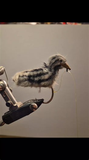 Understanding My Bite Indicator Prototype