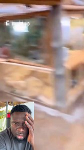 Anğry Crocodile escapes 😳 | Madiba of Comedy