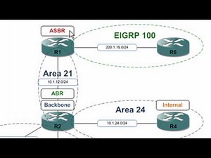 OSPF Router Types