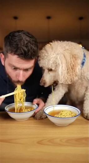 This Noodle Race Got Out of Control FAST!