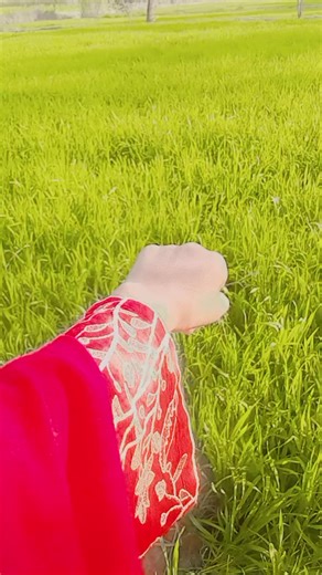 شہزادی804 (@shan80451)’s videos with original sound - Shahzad shadikhail355