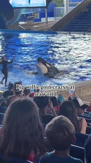 speed trap (@speed.trap4)’s videos with original sound - speed trap