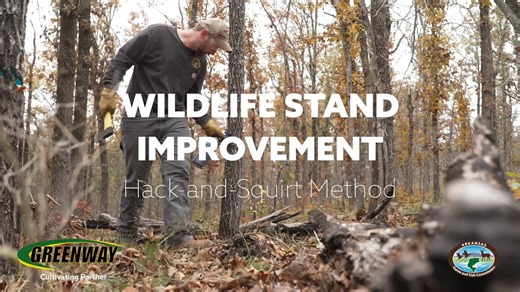 9.9K views · 71 reactions | If you're interested in managing your timber for wildlife, hack and squirt is a great method for reducing tree density. By hacking enough to penetrate the cambium of the tree and applying chemicals, shading is reduced, promoting sunlight, food, and cover for wildlife in the area. Greenway Equipment is proud to be a cultivating partner of the AGFC. | Arkansas Game and Fish Commission | Facebook