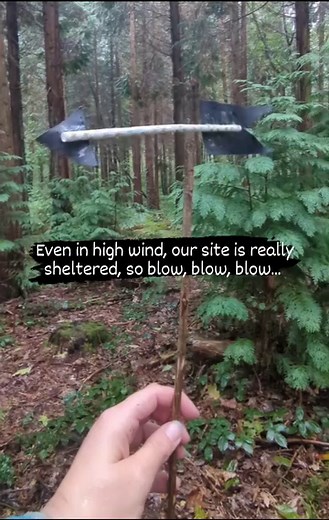 What to do in forest school on a windy day? Make a wind vane! We cut an arrow and a 'feather' out of card, and had the kids glue or tape it to either end of a paper straw. Find the balance point by balancing it on your finger, then use a pin 📍 (works better than a tack!) 📌 to attach it to a stick. Make sure there's space on the pin for the straw to move freely. Conversations that arose: How a weather vane works The prevailing wind in your area/the UK. How wind is made Things to look out for in