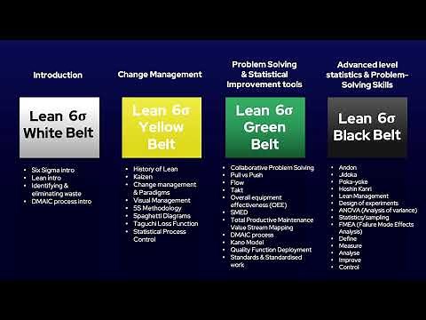 How the Lean Six Sigma Belt System works
