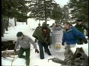 Matthew Fox - Survival of the Yellowstone Wolves 19961103 (Part 1)