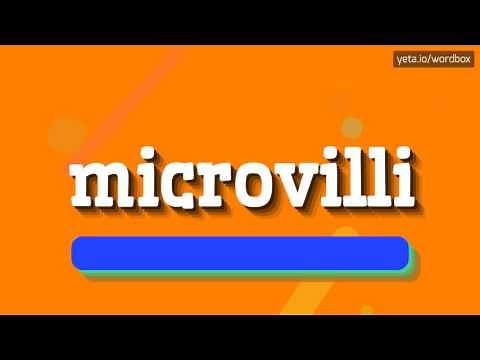 MICROVILLI - HOW TO PRONOUNCE IT!?