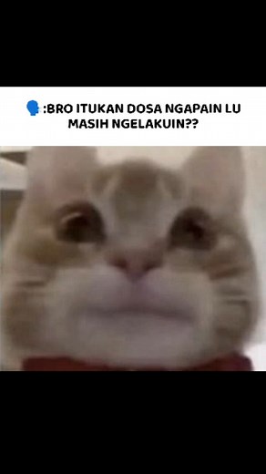 450K views · 35K reactions | :( . . . Halal untuk di save & share #memedakwah #memehalal #memeislami #foryou | familysetiawanfbgreen | Facebook