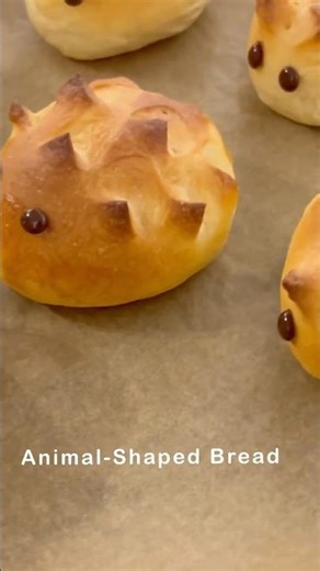 From Dough to Animal-Shaped Bread