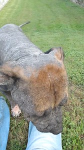 92K views · 711 reactions | We have watched this clip on repeat and...