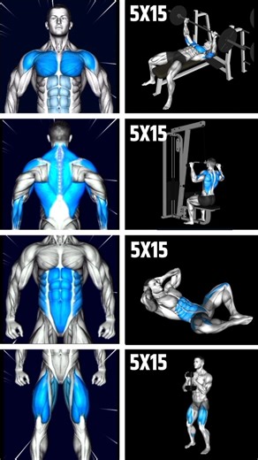 Gym Workout | Full Body Workout | Chest Workout | Leg Workout | Back Workout | Calisthenics #shorts