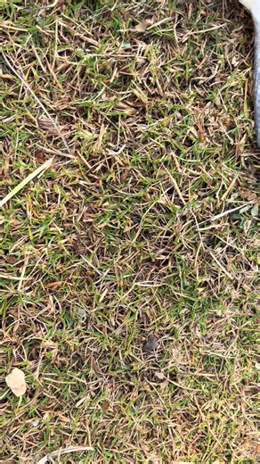 Rod: Xesta Runway SLS S94 Reel: SHIMANO TwinPower XD C3000 Line: VARIVAS AVANI X9 0.8PE Shock Leader: Seaguar premium max 17.5lb #fishing #sun #Xesta #shimano #varivas #megabass #ocean