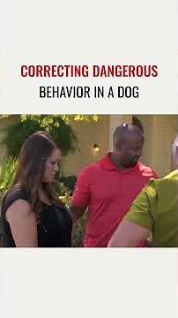 Correcting Dangerous Dog Behavior