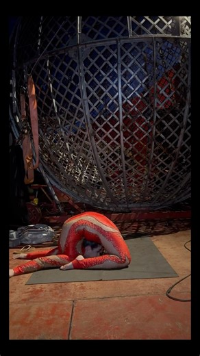 Triple fold contortion trick #fyp #flexibility #circus #contortion #stretching #acrobatics