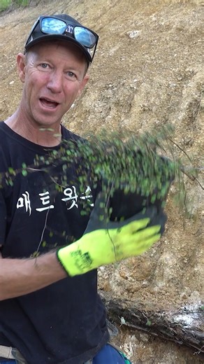 The Kiwi Dream on Instagram: "After earthworks or land slips, you can be left with exposed rock faces, so here Matt shares the technique he used to get some native plants established in the most inhospitable environment for plants. @mattwatson_thefishingguy #plantingtips #nativeplants"