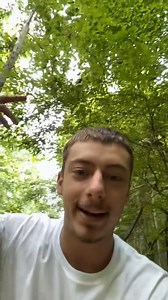 will survives🤷‍♂️ #willsurvives #survival #bushcraft #cabin | The Tips & Trick