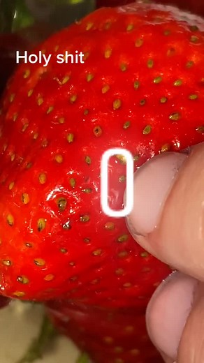 Spotting Worms in Strawberries: A Disturbing Discovery