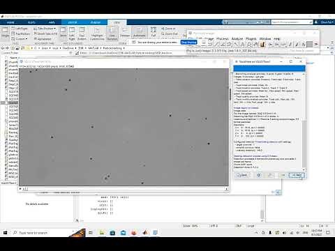 FIJI matlab particle tracking demonstration