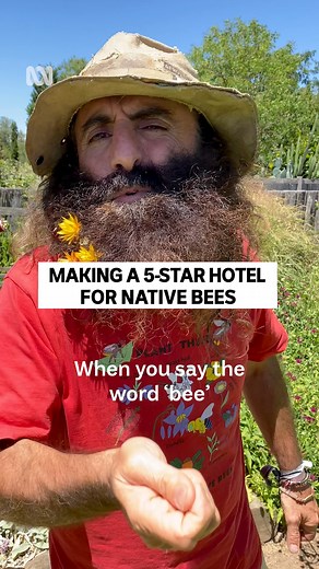 Costa Georgiadis Official has us buzzing about native bees! 🐝✨ | ABC Kids Community