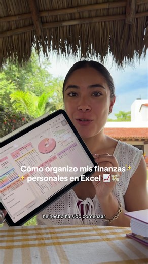 Cómo organizo mis finanzas personales en Excel