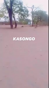 Please bo drive this December don't try to be a Kasongo we know it's your business but you're also risking people's Lives 😭😭 Forget the speeding buses what about those people ontop on the carrier 😳 #reelschallenge #reelstrending #reelsfypシ #reelkarofeelkaro #reelsviralfb #reelsfbシ #reel #reelsfacebook | Bulawayo My City