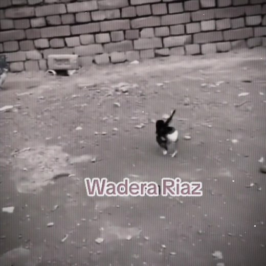 1 million views on TikTok #foryou #foryoupage #trending #viral #fypシ゚viral #tiktok #tiktokvideo@tiktokIDofficial