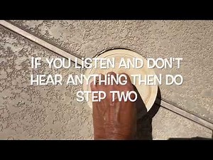 How To Know When You Need To Replace Your Auto Leveler