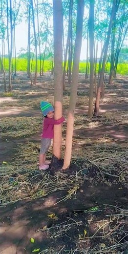 save tree 🌳save life🌍#shorts#If a girl can save the tree, then what, can't you do this too??🙏🙏